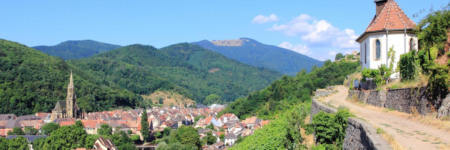 Chambres d'hôtes et gîtes dans le Haut-Rhin dès 46 € - HomeToGo