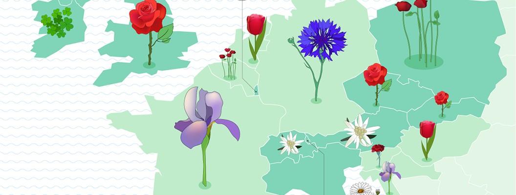 The National Flower Guide to Europe - Wimdu Blog