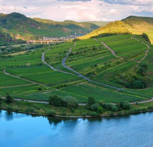 Vakantiehuizen aan de Moezel - Boek bij EuroRelais