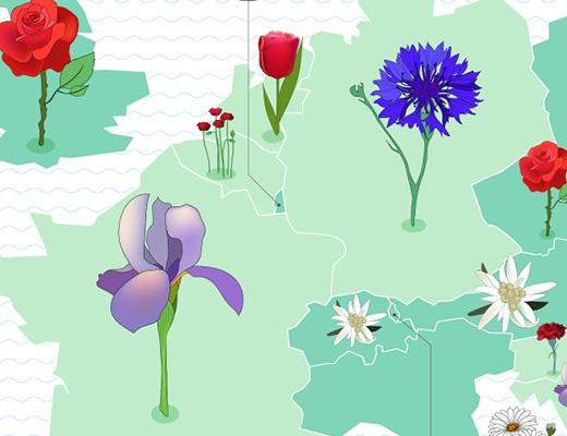 The National Flower Guide to Europe - Wimdu Blog