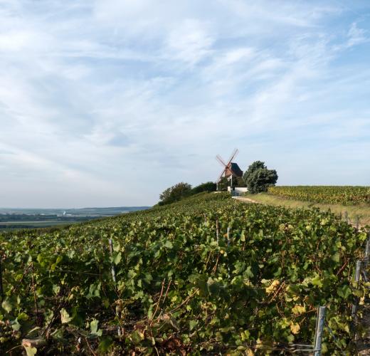 Location vacances (camping, chambres d'hôtes, maison, appartement) et ...