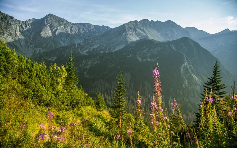 Mountain Summer Vacation: Top Destinations - HomeToGo