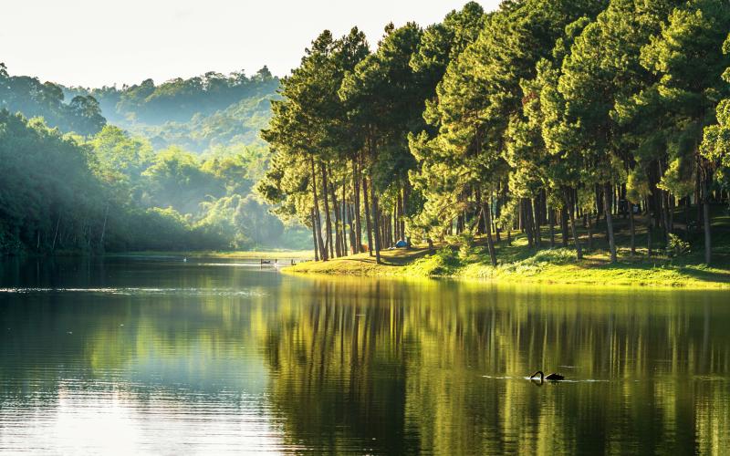 Lake Vacation: Top Destinations - HomeToGo