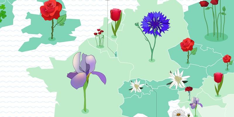 The National Flower Guide to Europe - Wimdu Blog