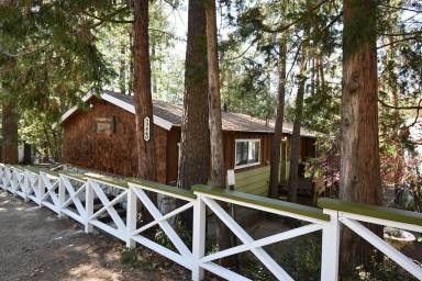 Top 10 Things to Do in Idyllwild - Tripping.com Rentals | Tripping.com