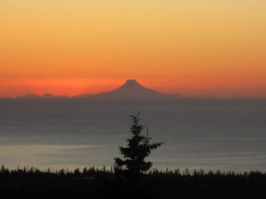 Alaska Cabins & House Rentals from $72 | HomeToGo