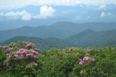 10 Best Places to Take a Summer Vacation in Tennessee - Tripping.com ...